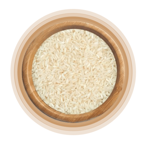 IR 64 Rice | Rice of India