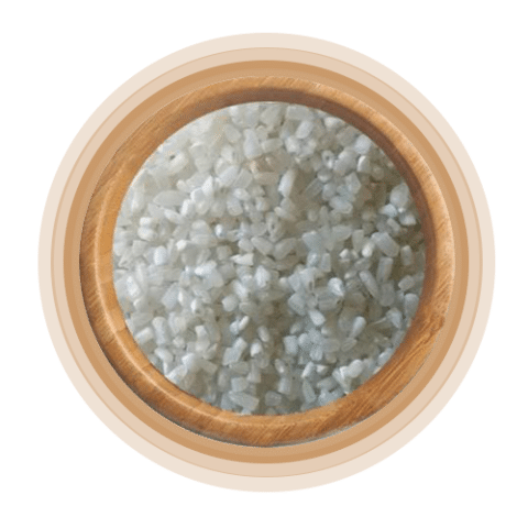 IR 8 Rice | Rice of India